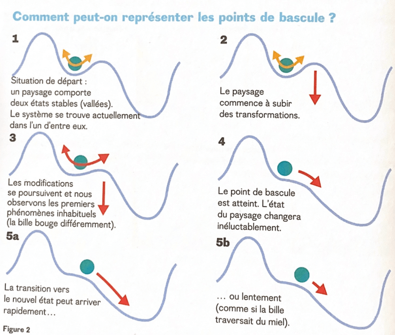 Points de bascule et boucles de rétroaction